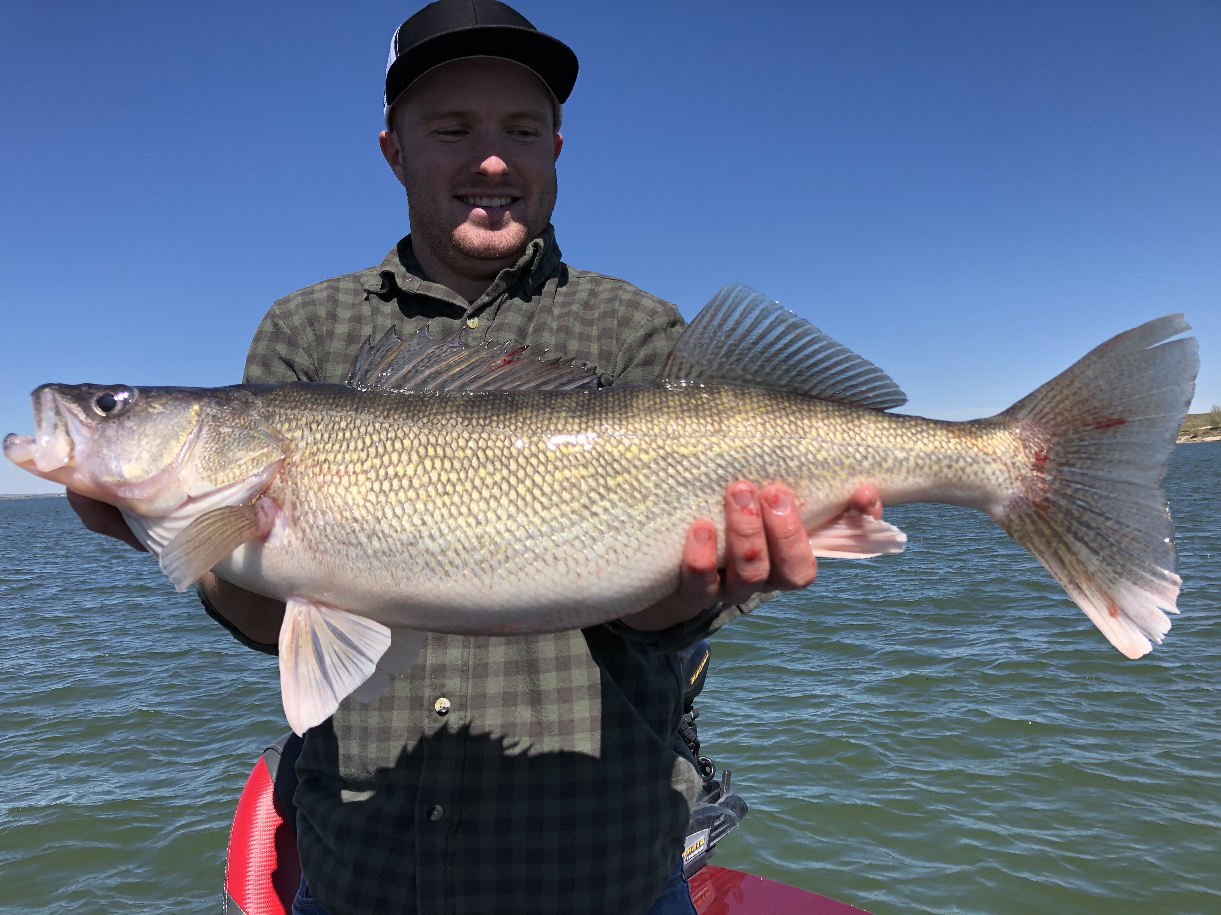 The highlights – lakebigmacspoiled.com